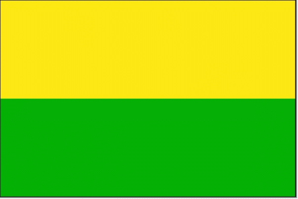 Vlag Den Haag kopen al vanaf €7,95