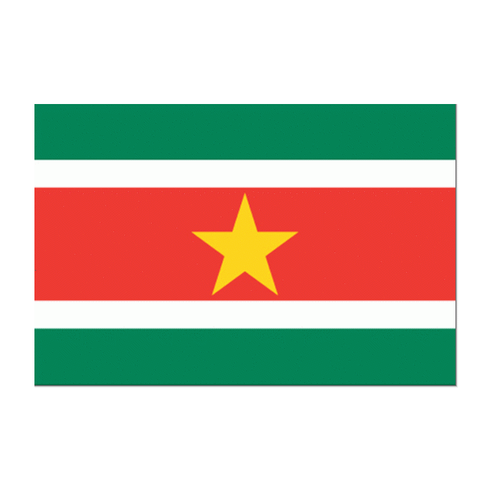 Surinaamse Vlaggen Suriname 50x75cm Voordelig Kopen Bij Vlaggenclub 