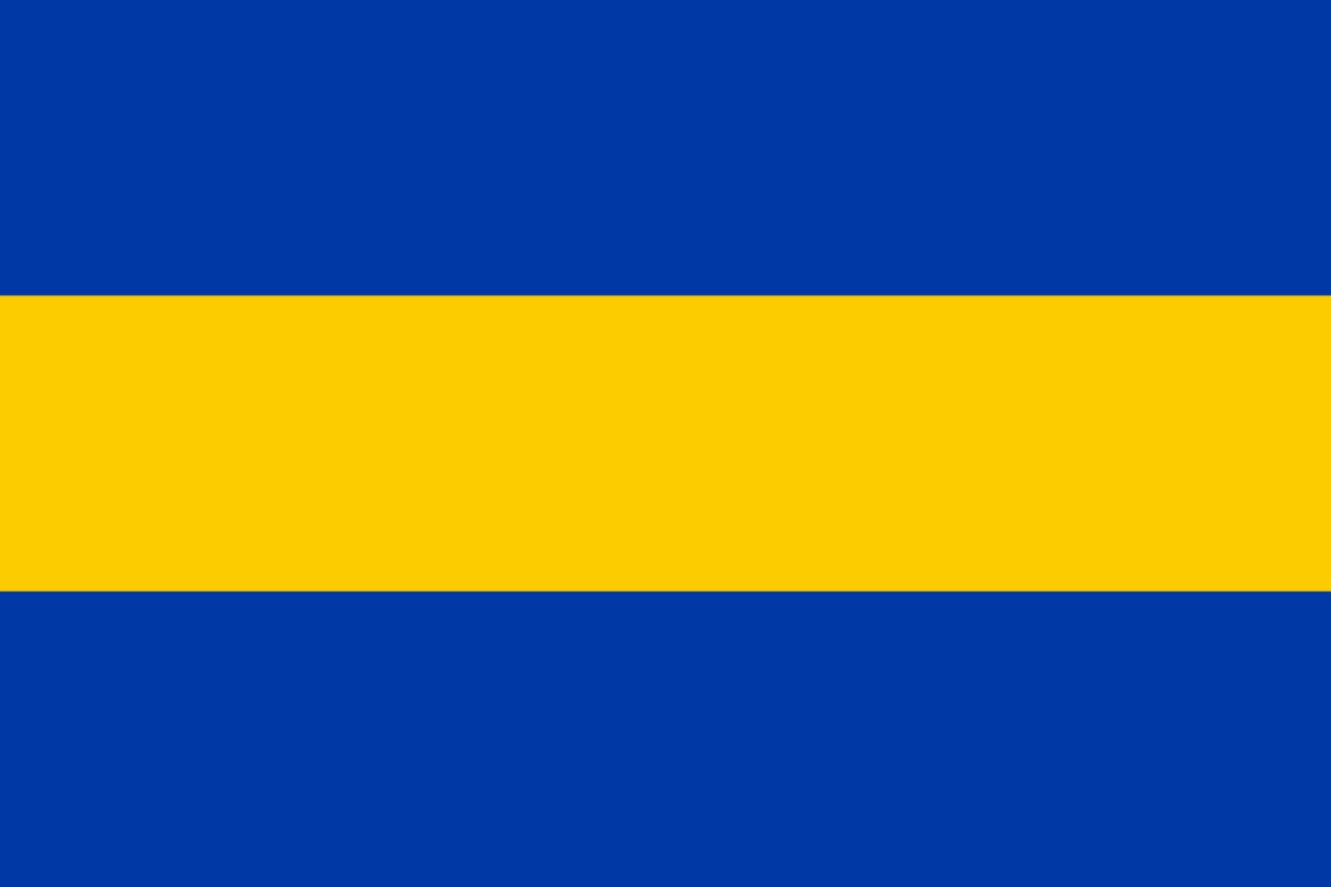 Vlag Rijswijk 70x100cm | Grote Bootvlag Rijswijk