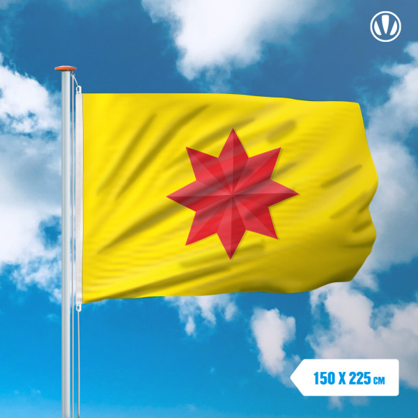 Mastvlag Kralingen 150x225cm | Vlaggenclub