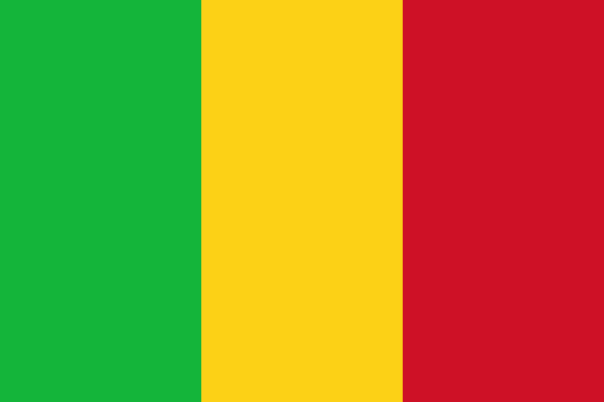 Vlag Mali 70x100cm | Grote Bootvlag Mali