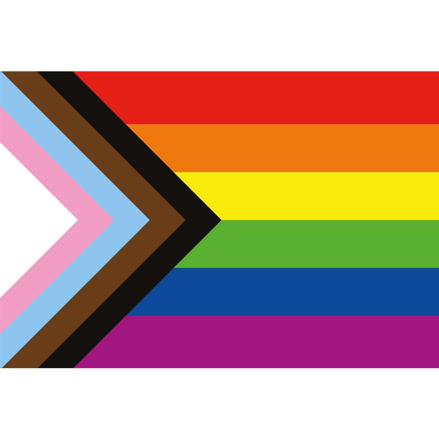 Pride Vlag / Progress vlag 90x150 I Vlaggenclub