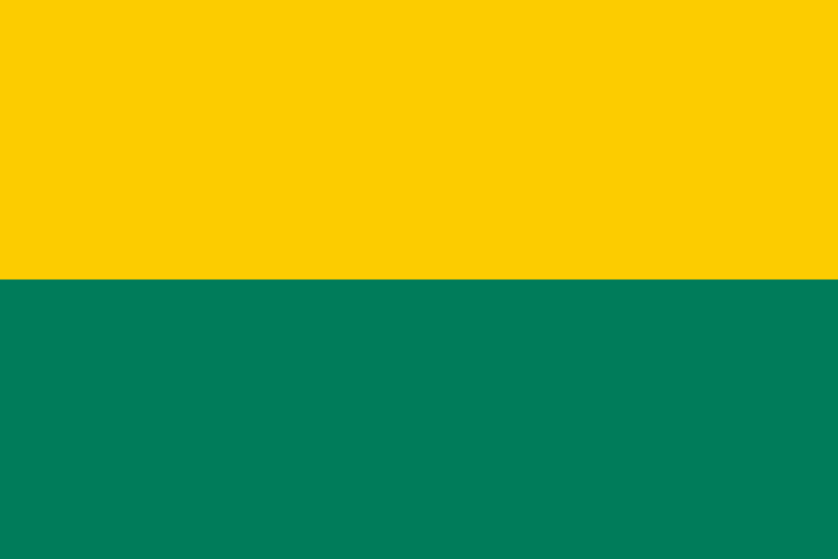 Vlag Den Haag 70x100cm | Grote Bootvlag Den Haag