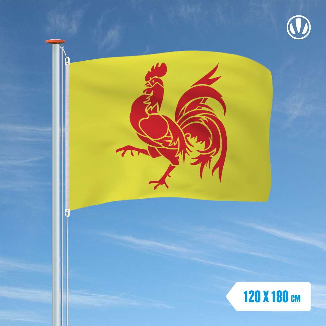 Vlag Wallonië 120x180cm | Alleen bij de Vlaggenclub!