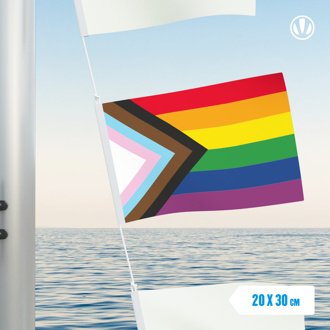 Pride Vlag / Progress vlaggetje 20x30cm | Vlaggenclub