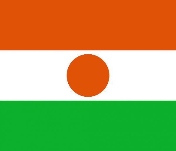 Vlag Niger 100x150cm - Glanspoly | Vlaggenclub