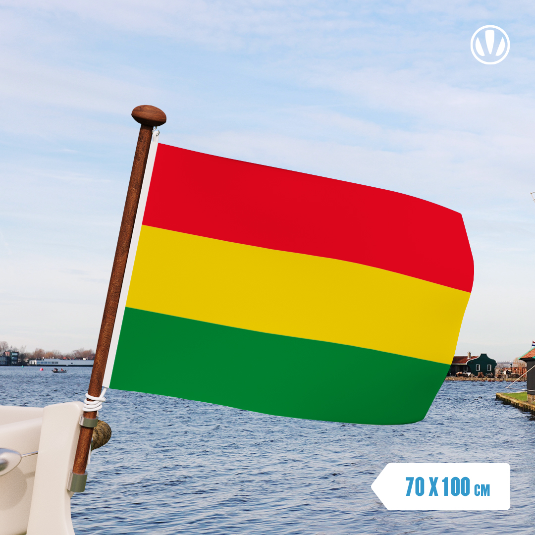 Vlag carnaval Limburg rood/geel/groen 70x100 cm voordelig kopen bij ...