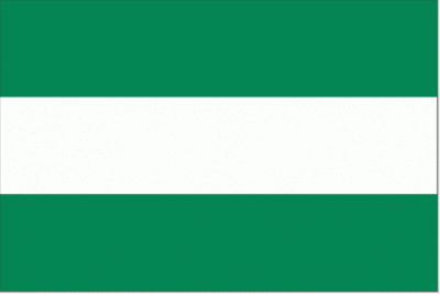 Vlag Rotterdam kopen | Alle formaten direct leverbaar