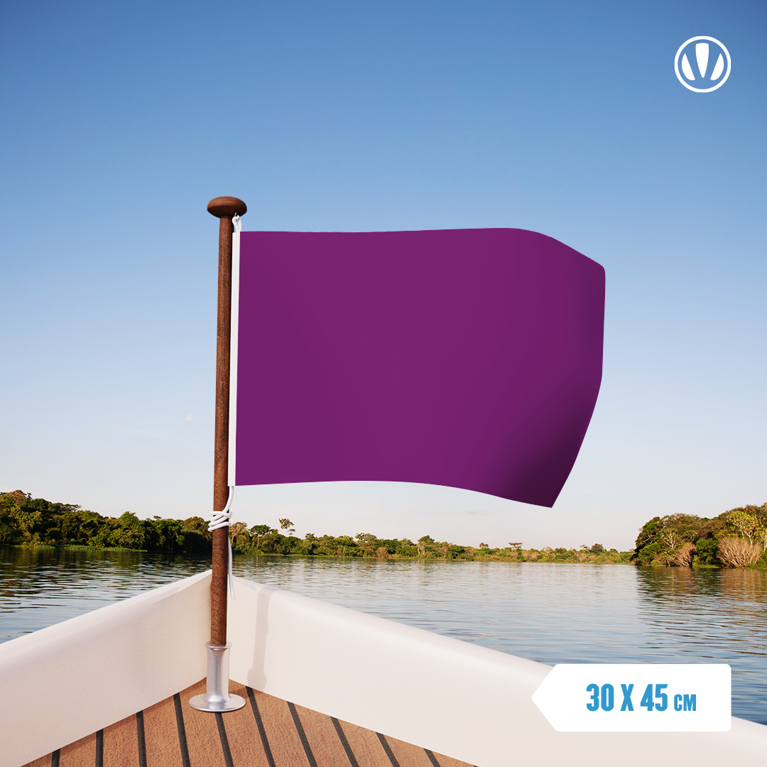 Paarse vlag 30x45cm | Vlaggenclub