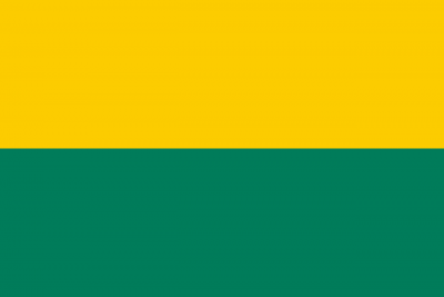 Vlag Den Haag 120x180cm | Alleen bij de Vlaggenclub!