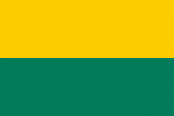 Vlag Den Haag 120x180cm | Alleen bij de Vlaggenclub!