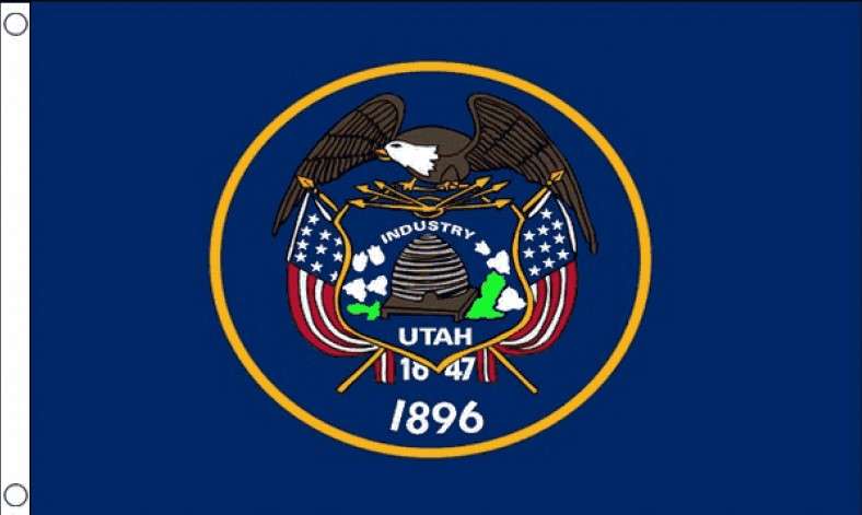 Vlag Utah 90x150cm - Best Value | Vlaggenclub