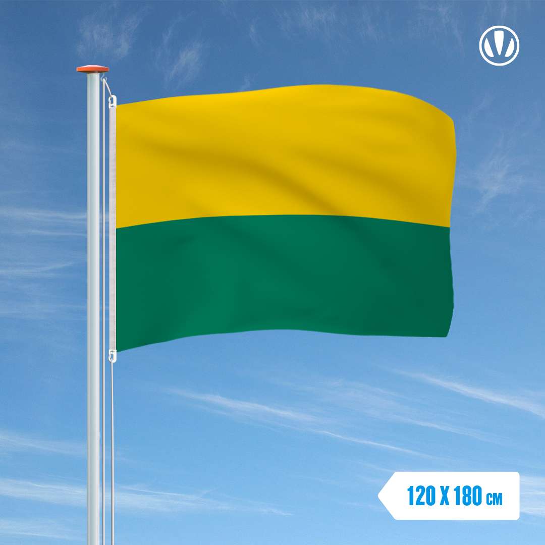 Vlag Den Haag 120x180cm | Alleen bij de Vlaggenclub!