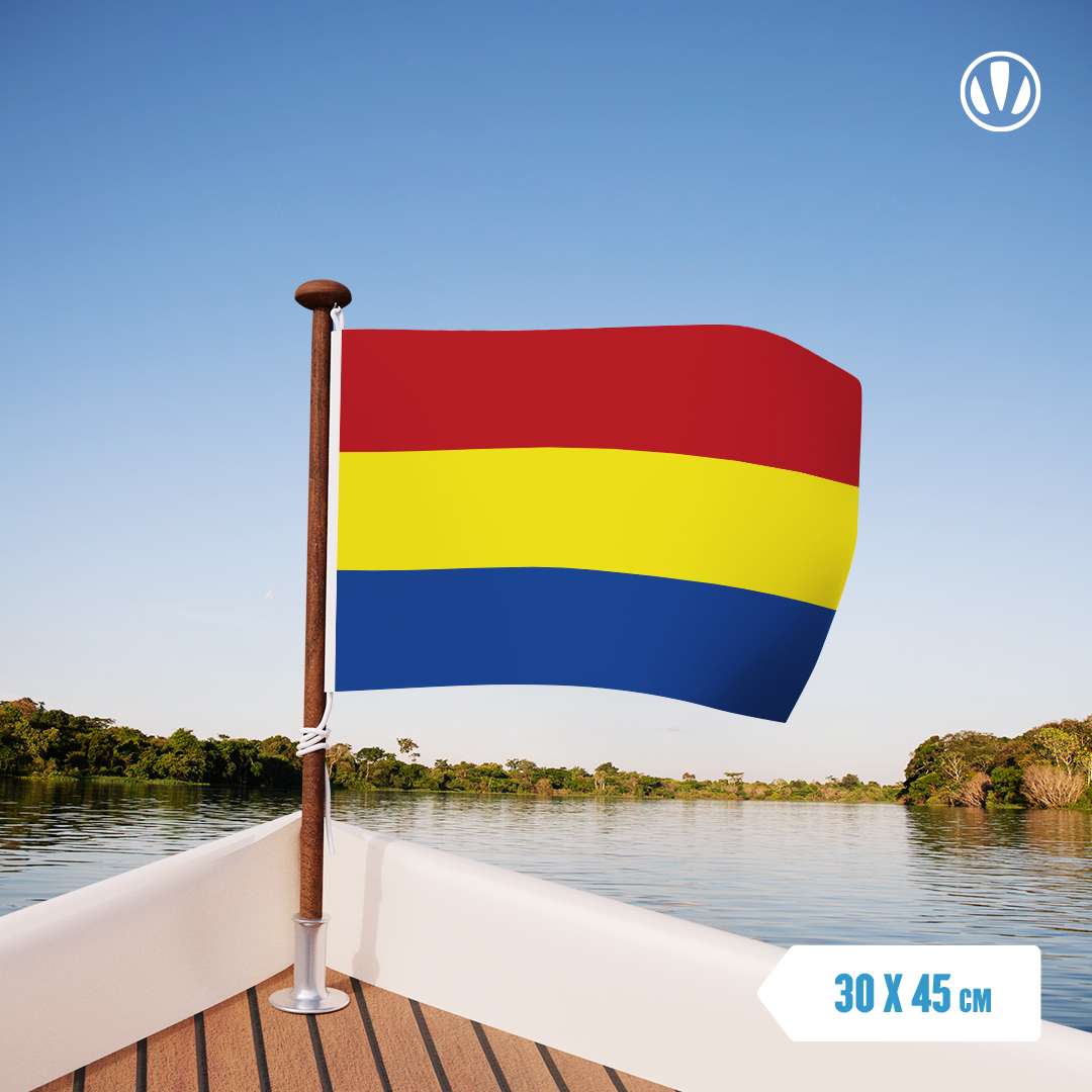 Vlag Vlaardingen 30x45cm | Vlaggenclub