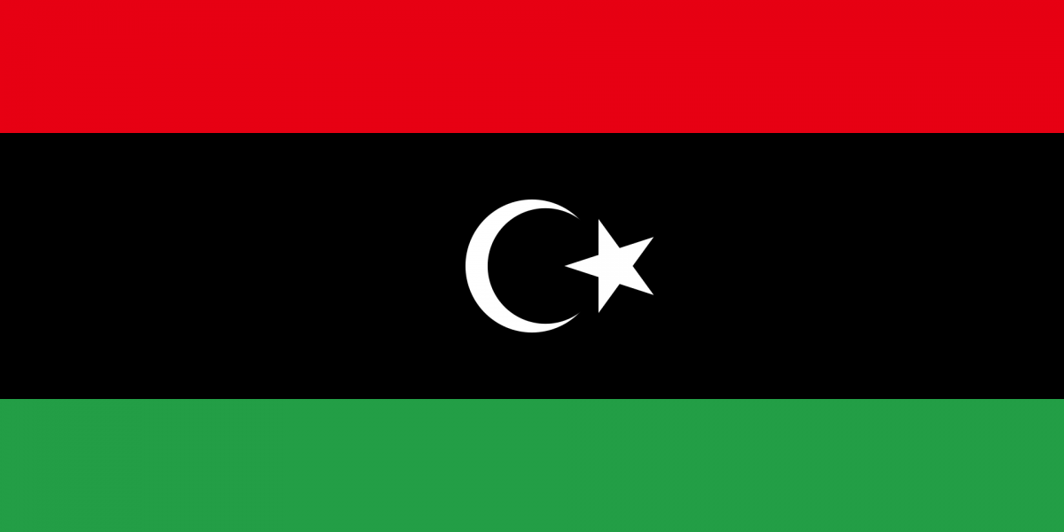 Vlag Libie 100x150cm - Glanspoly | Vlaggenclub