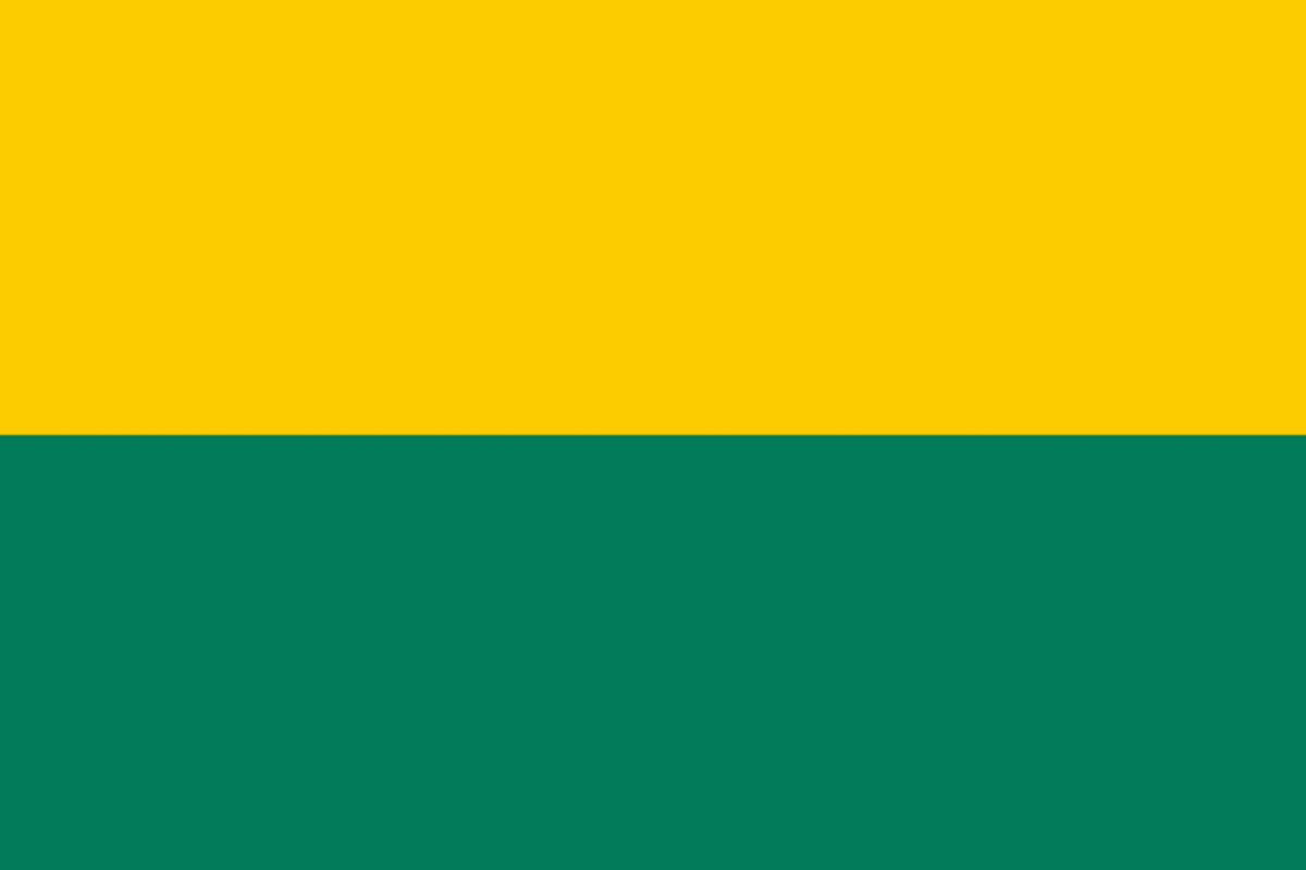 Vlag Den Haag 120x180cm | Alleen bij de Vlaggenclub!