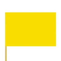 Gele vlag Formule 1 70x100cm voordelig kopen bij Vlaggenclub