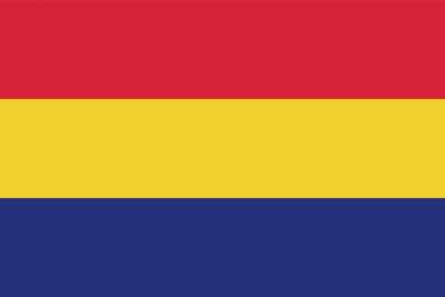 Vlaggen en feestversiering Haverriek kopen | Rood, Geel & Blauw