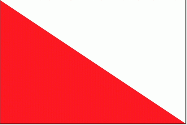 vlag Utrecht stad 70x100cm | Vlaggenclub