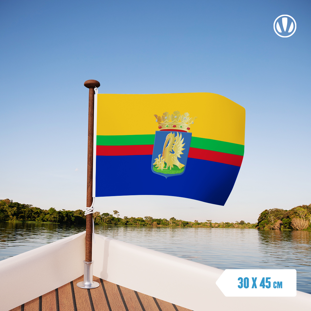 Vlag Appingedam met Wapen 30x45cm | Vlaggenclub