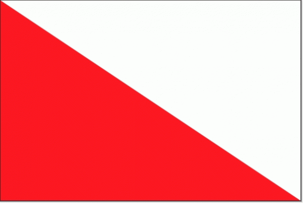 Vlag Utrecht Stad 50x75cm | Grote Bootvlag