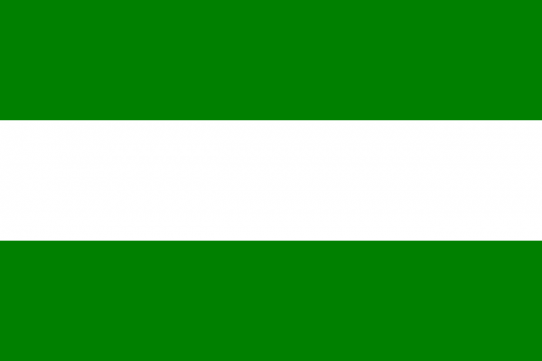 Vlag Rotterdam 120x180cm | Alleen bij de Vlaggenclub!