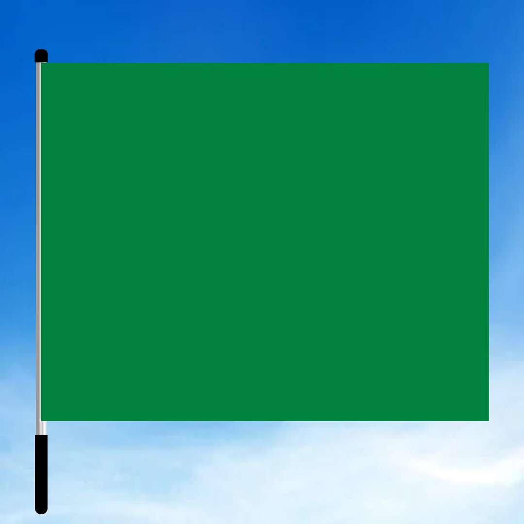 Groene vlag Formule 1 70x100cm voordelig kopen bij Vlaggenclub