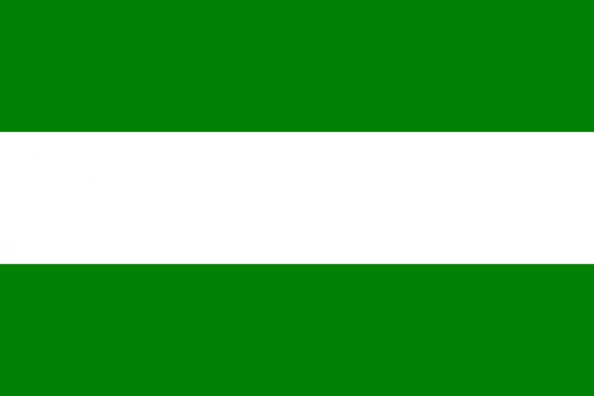 Vlag Rotterdam 120x180cm | Alleen bij de Vlaggenclub!