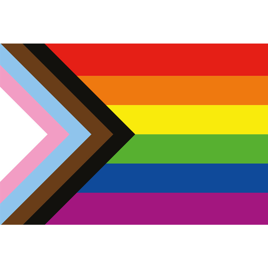 Pride Vlag / Progress vlag 90x150 I Vlaggenclub
