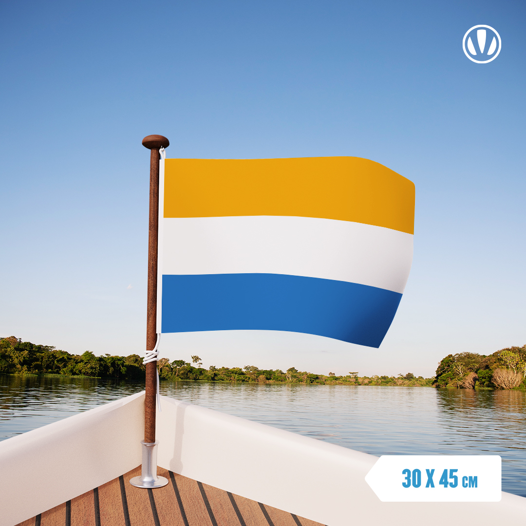 Prinsenvlag 30x45cm | Vlaggenclub