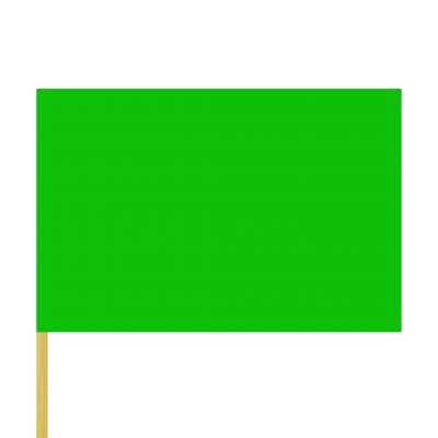 Groene vlag Formule 1 70x100cm voordelig kopen bij Vlaggenclub