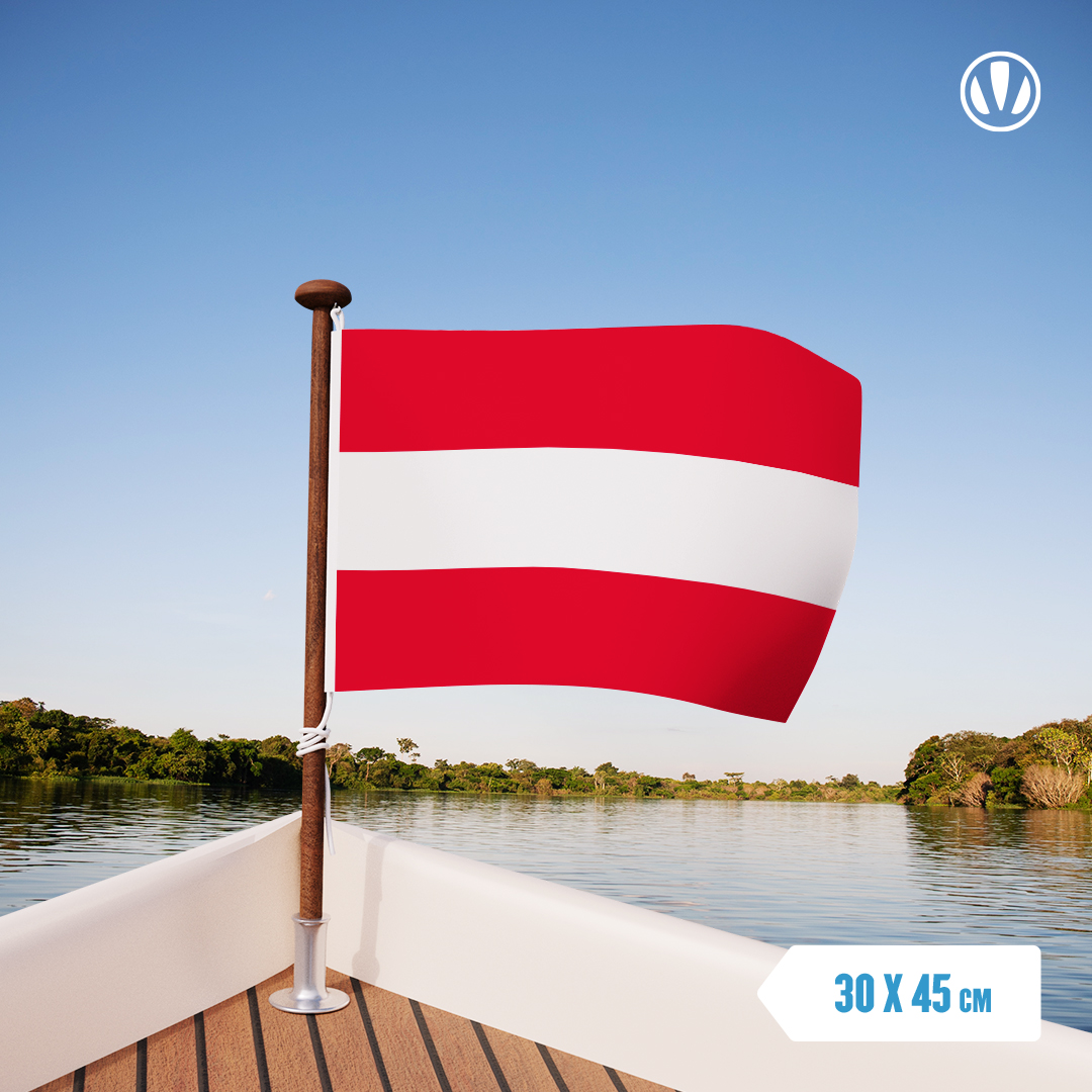 Vlag Dordrecht 30x45cm | Vlaggenclub